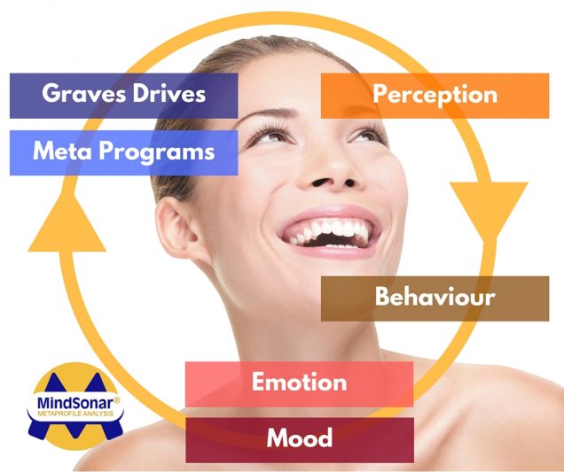 What are Thinking Styles (Meta Programs)? - MindSonar®